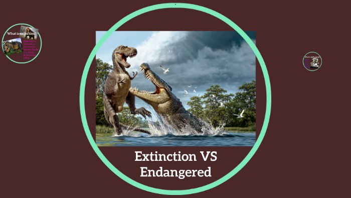 Extinction VS Endangered by Alida Cortez on Prezi