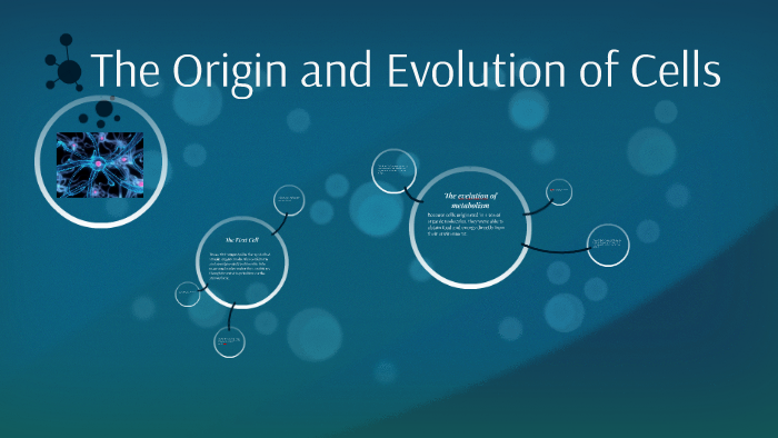 The Origin and Evolution of Cells by Alissa Mcgruder on Prezi