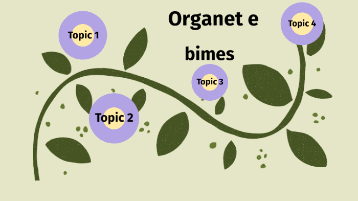 Organet e bimes by Paola Gjata on Prezi