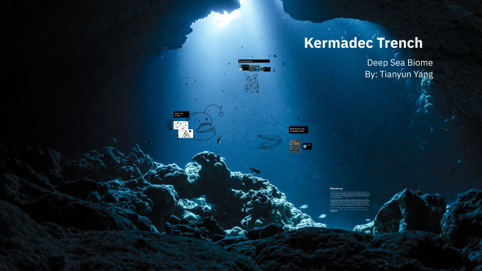 Ecology Unit Project - Kermadec Trench by Tianyun Yang on Prezi