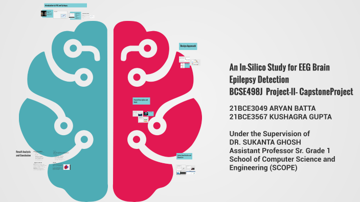 An In-Silico Study for EEG Brain Epilepsy Detection by Aryan Batta on Prezi