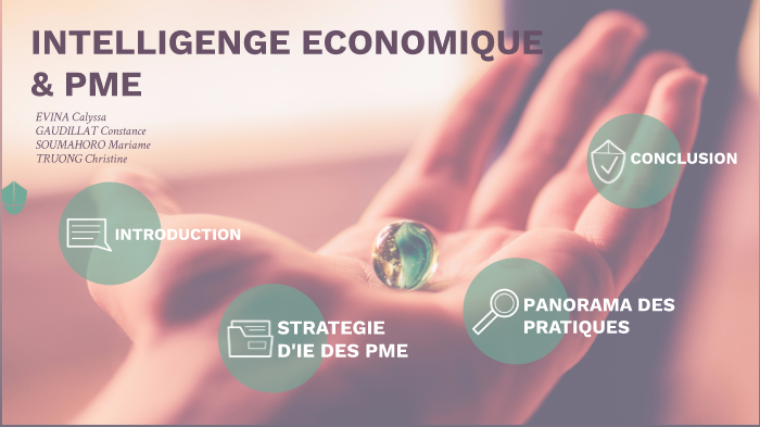 IE & PME PPT by Constance GAUDILLAT on Prezi