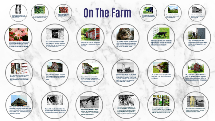 On The Farm by Taylor Brisson on Prezi