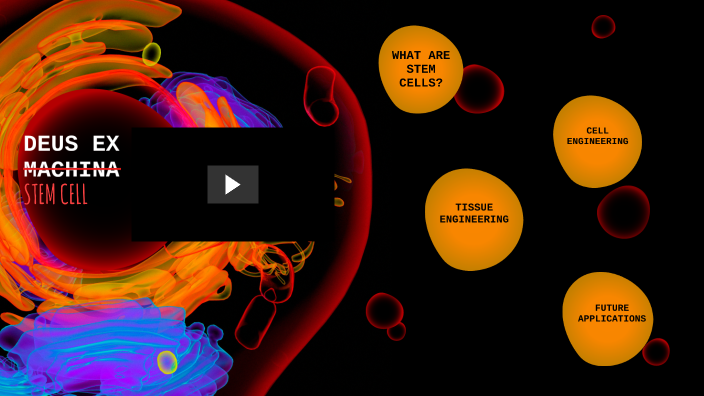 THE POWER OF STEM CELLS IN CELL AND TISSUE ENGINEERING by Jack Ryan on ... THE POWER OF STEM CELLS IN CELL AND TISSUE ENGINEERING by Jack Ryan on ...