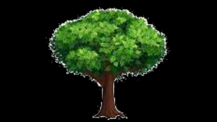 Abraham Family Tree by Jake Underhill on Prezi