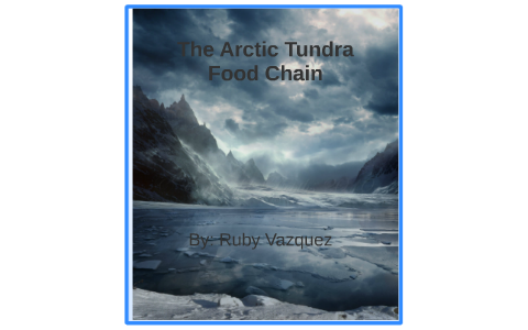 The Arctic Tundra Food Chain by Ruby Vazquez on Prezi