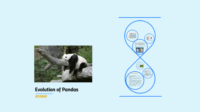 Evolution of Pandas by Mehrubon Komilova