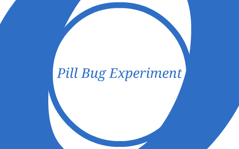 Pill Bug Experiment by Jordan Schmitz on Prezi