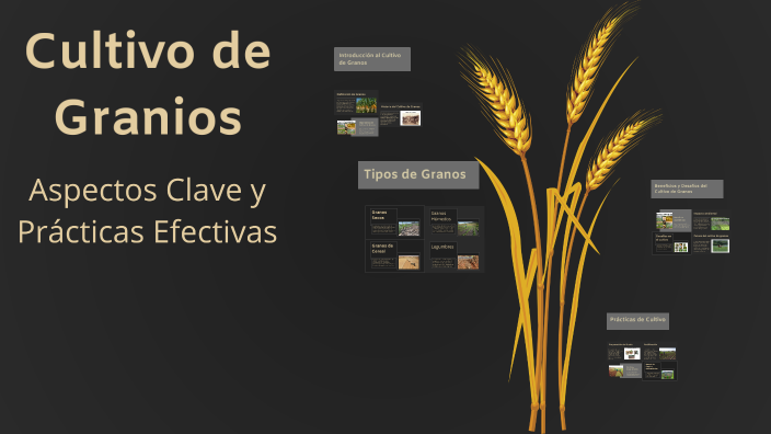 Cultivo de Granios by Daniel Terrel on Prezi