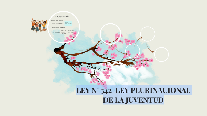 LEY N° 342-LEY PLURINACIONAL DE LA JUVENTUD by Neidy Fuentes Gonzales ...
