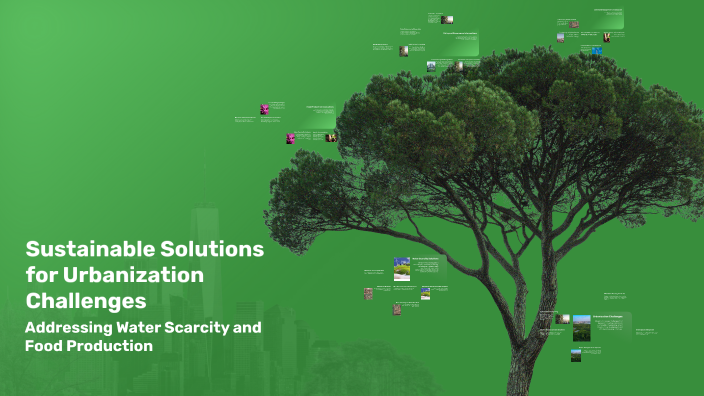 Sustainable Solutions for Urbanization Challenges by newcombe.jl ...