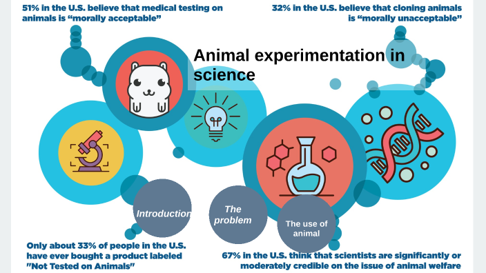 Experimental Animal in Science by Tuba Uslu on Prezi