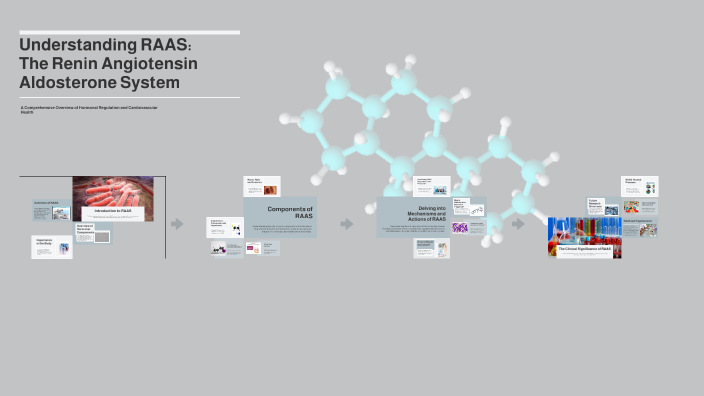Understanding RAAS: The Renin Angiotensin Aldosterone System by juan Villa on Prezi