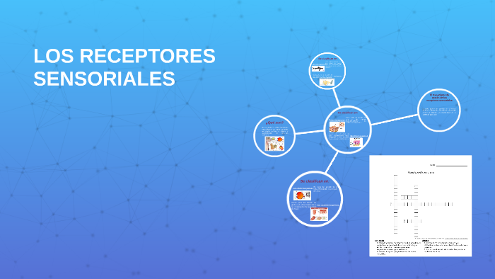 LOS RECEPTORES SENSORIALES by Ailin Yisel Pinto Duran