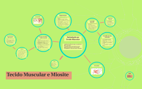 Tecido Muscular e Miosite by Julia Segadas on Prezi