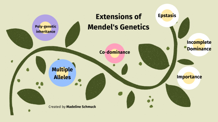 Extensions of Mendel's Genetics by madeline schmuck on Prezi
