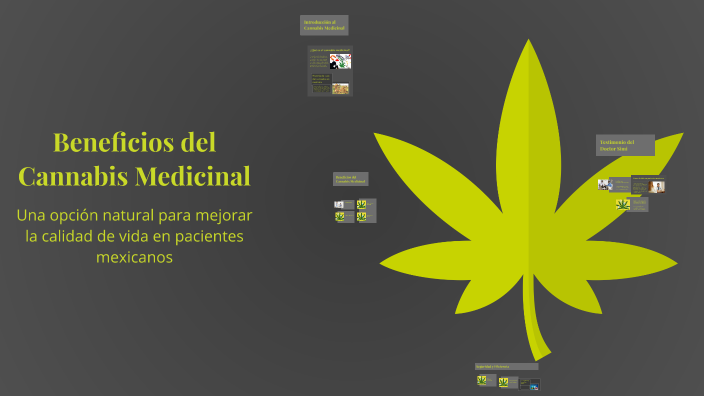 Beneficios Del Cannabis Medicinal By Deneb Mena On Prezi