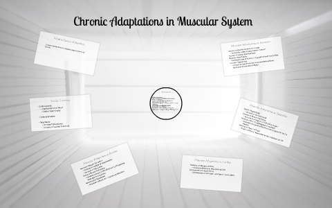 Chronic Adaptations in Muscular System by Jason Chang on Prezi