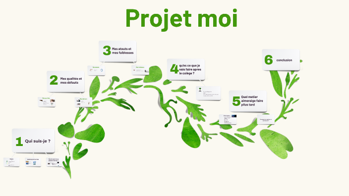 projet moi by Mahé Aratto on Prezi