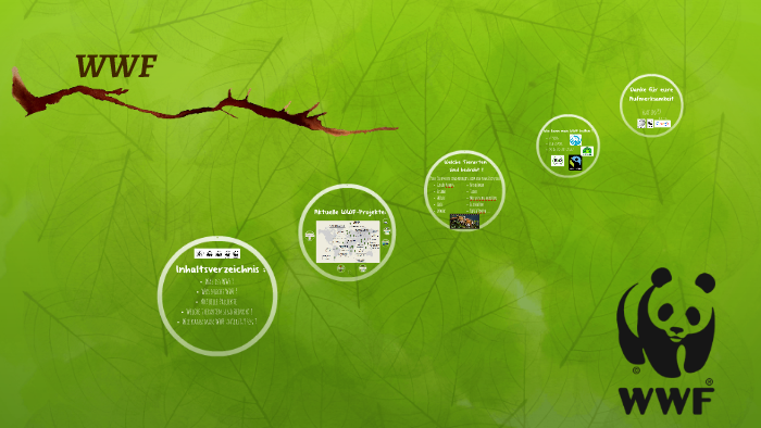 WWF by Presentation WWF on Prezi