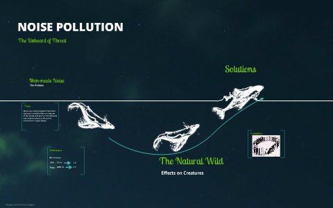 Noise Pollution by Sarah Rohrman on Prezi