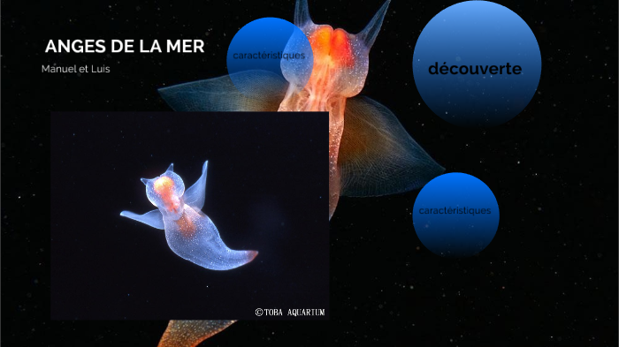 Angeles de mar by Luis Marín on Prezi