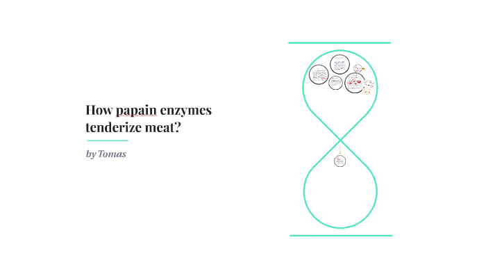 How papain enzymes tenderize meat? by Tomas Palomaki on Prezi