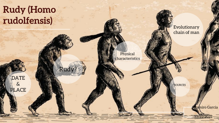 Homo rudolfensis by Valentina Solano