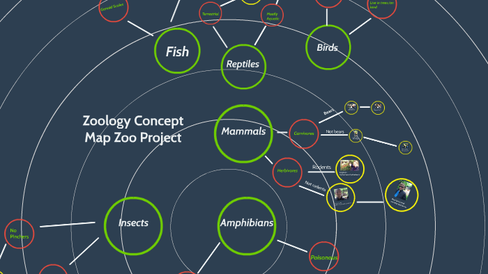 Zoology Concept Map Zoo Project by Alana Pinckley on Prezi