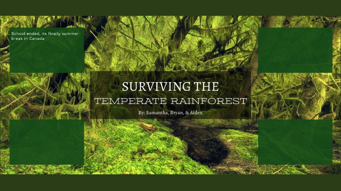 survivor project - Temperate Rainforest by samantha tiong on Prezi