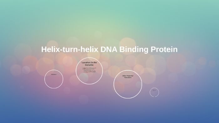 Helix-turn-helix DNA Binding Protein by on Prezi
