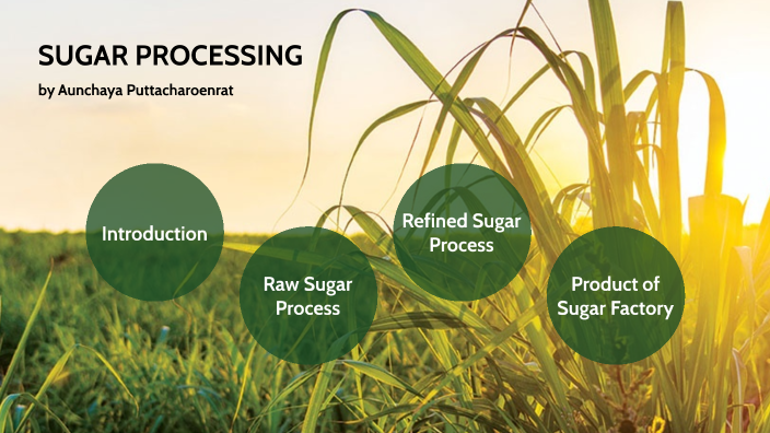 Sugar Processing by Maymhejang M. on Prezi