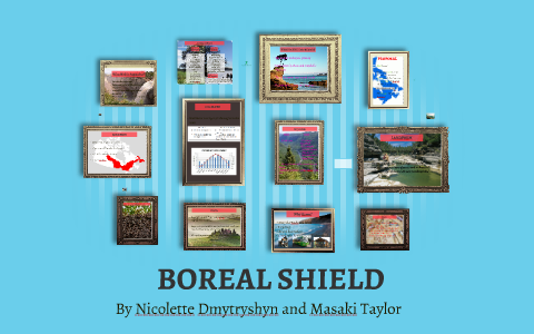 PROJECT BOREAL SHIELD by Nikki Dmy on Prezi