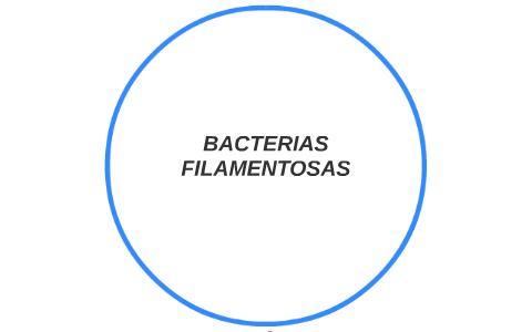 BACTERIAS FILAMENTOSAS by Luis Rivera on Prezi