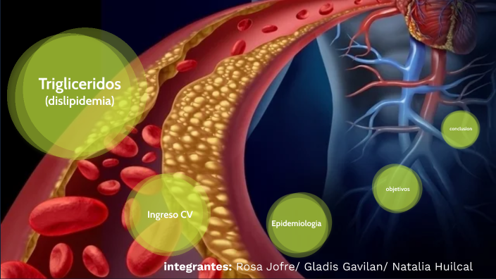 triglicéridos(dislipidemias) by natalia cristina huilcal chanquey on Prezi