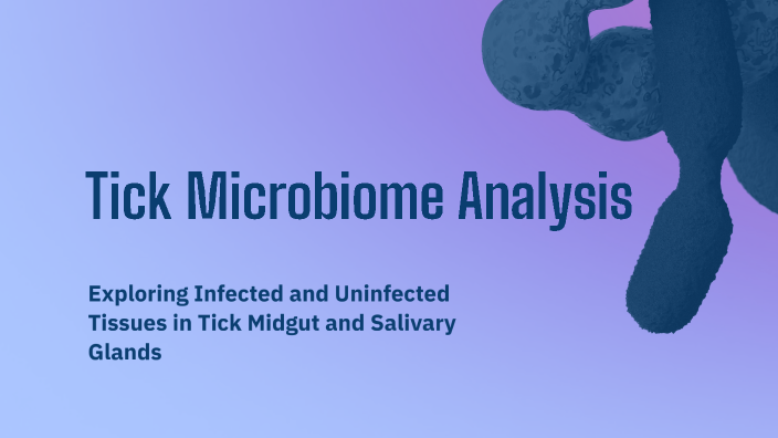 Tick Microbiome Analysis by Texas Kitten on Prezi