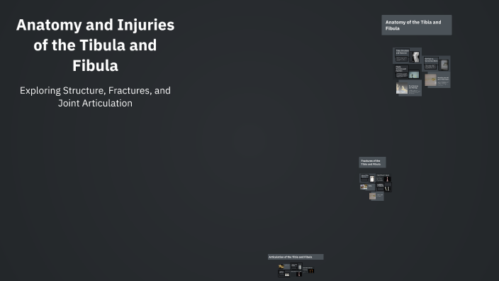 Anatomy and Injuries of the Tibula and Fibula by SANDRA VELASQUEZ on Prezi