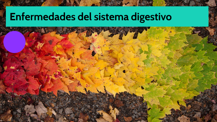 Enfermedades del sistema digestivo by Mario Medel on Prezi