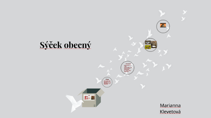 Síček obecný by Marianna Klevetova on Prezi