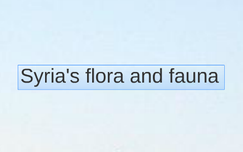 Syria's flora and fuana by Adam Zapatka on Prezi