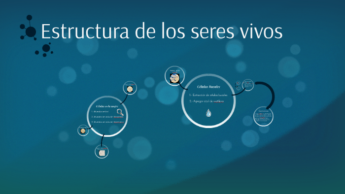 Estructura de los seres vivos by monse alvarez on Prezi
