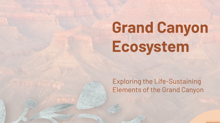 Grand Canyon Ecosystem by Mason Sveom on Prezi