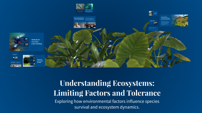 Understanding Ecosystems: Limiting Factors and Tolerance by francis ...