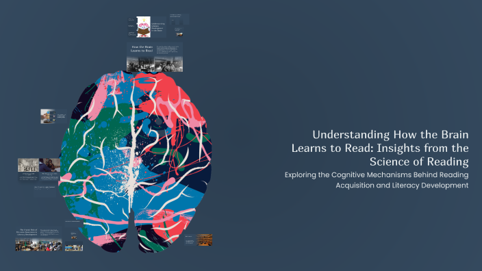 Understanding How the Brain Learns to Read: Insights from the Science ...