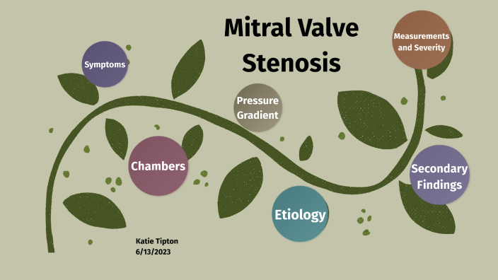 Mitral Valve Stenosis Concept Map by Katie Tipton on Prezi