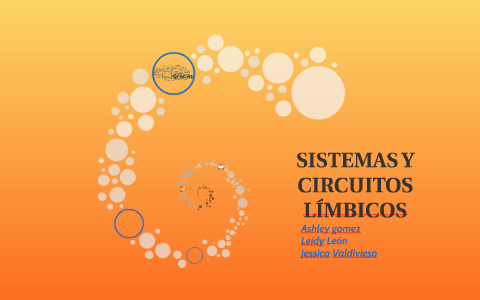 CIRCUITOS Y SISTEMAS LÍMBICOS by jessy vaqui on Prezi