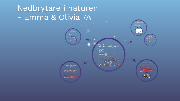Nedbrytare i naturen by Olivia Ahlin on Prezi