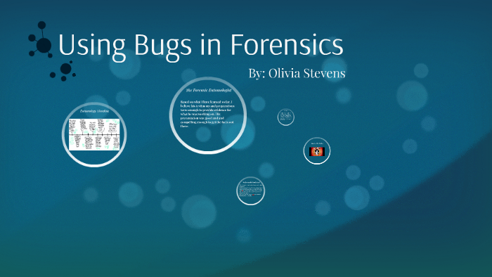 Using Bugs in Forensics by Olivia Stevens on Prezi