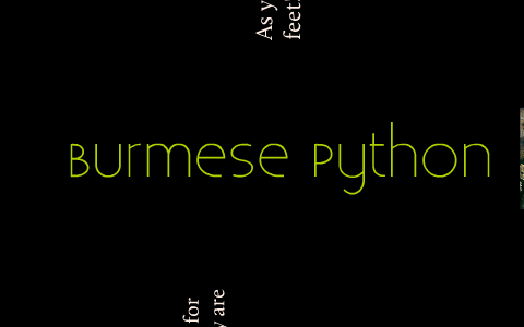 Invasive Species: Burmese Python by Hunter Campbell on Prezi