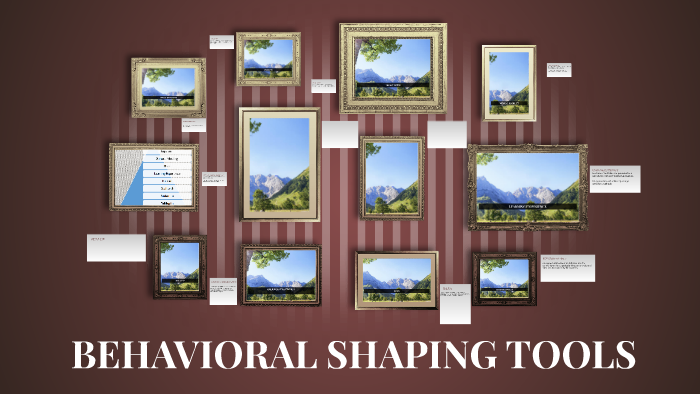 BEHAVIORAL SHAPING TOOLS by Alex Egual on Prezi